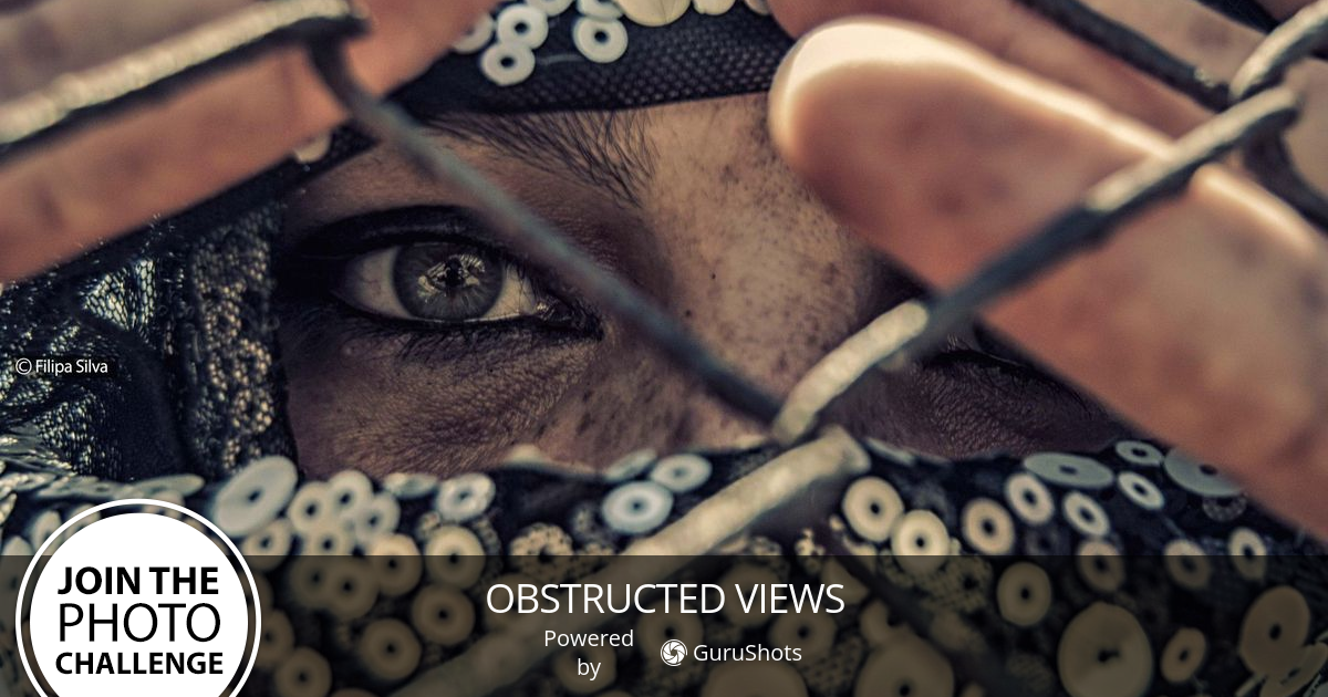 Obstructed Views Photo Challenge