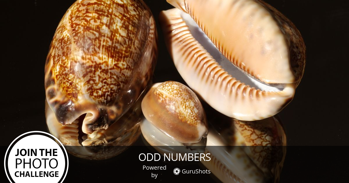 Odd Numbers Photo Challenge