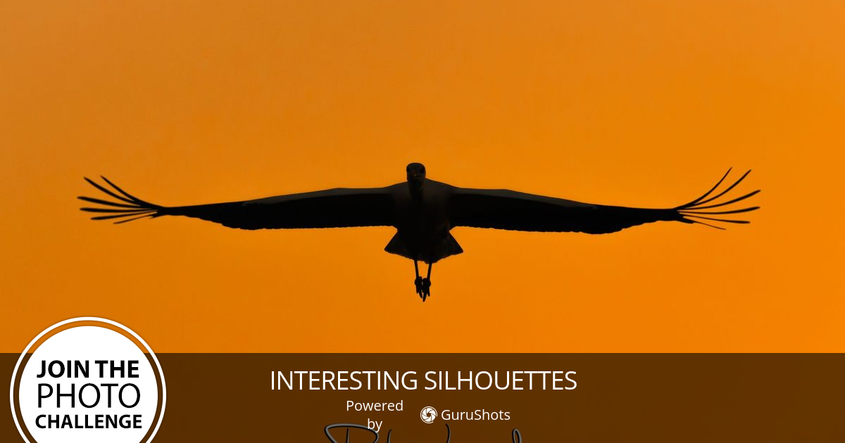 Interesting Silhouettes Photo Challenge