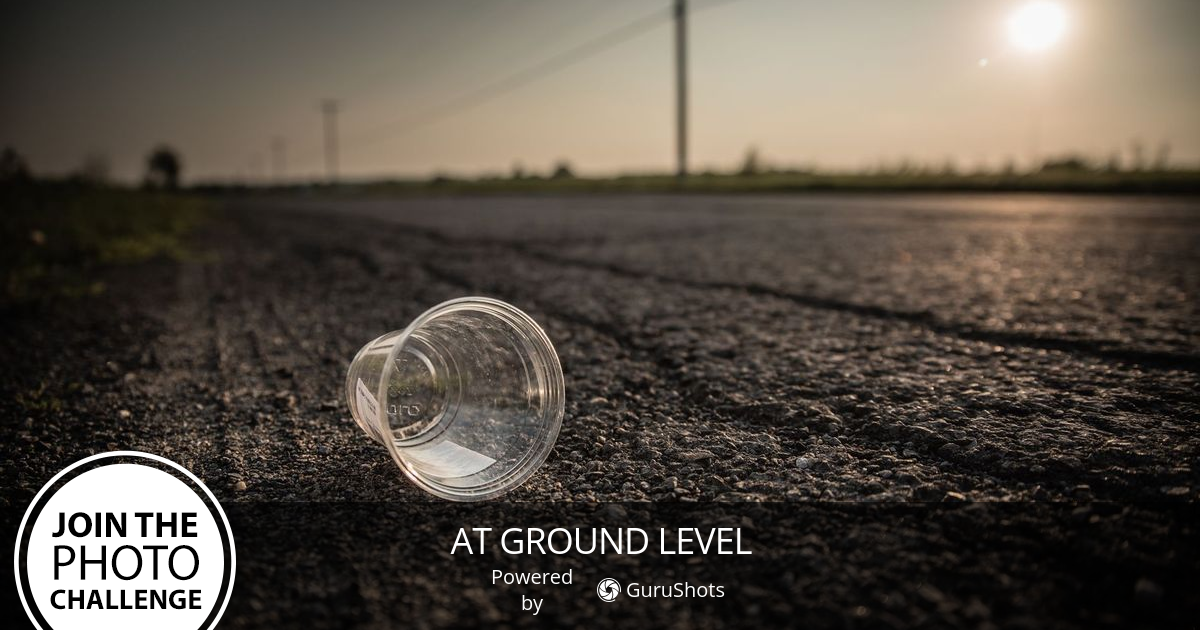 At Ground Level Photo Challenge