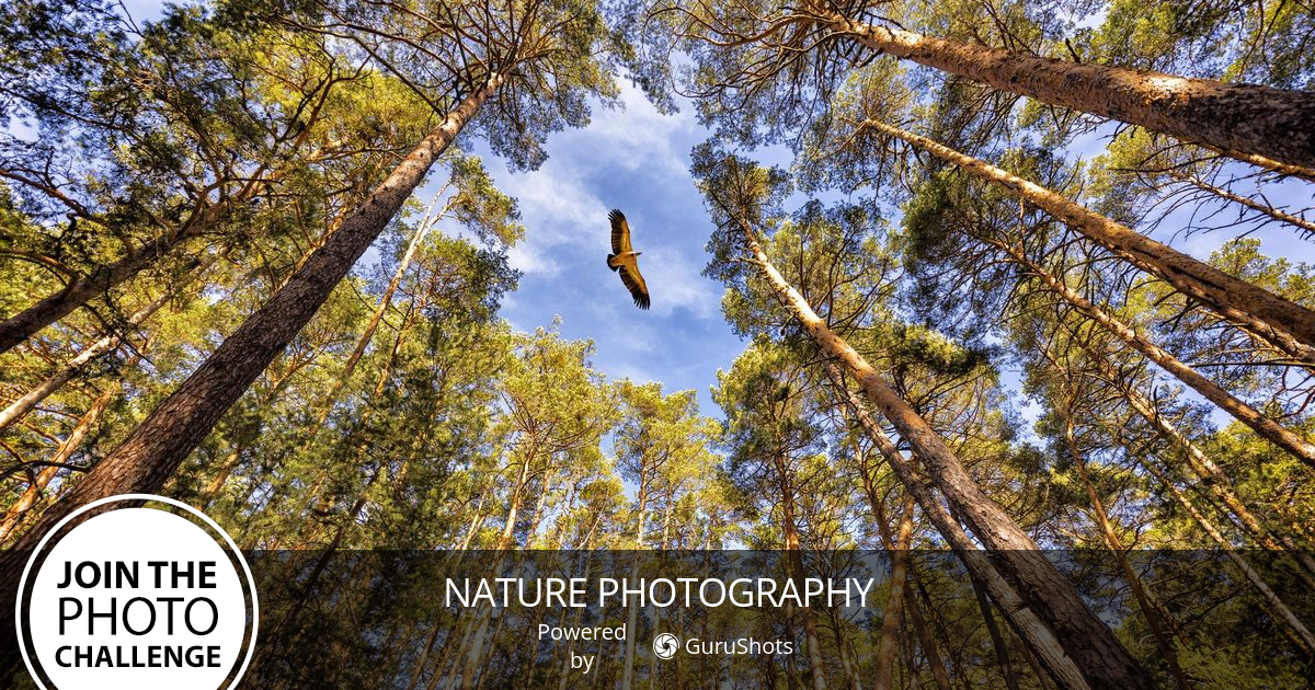 Nature Photography Photo Challenge