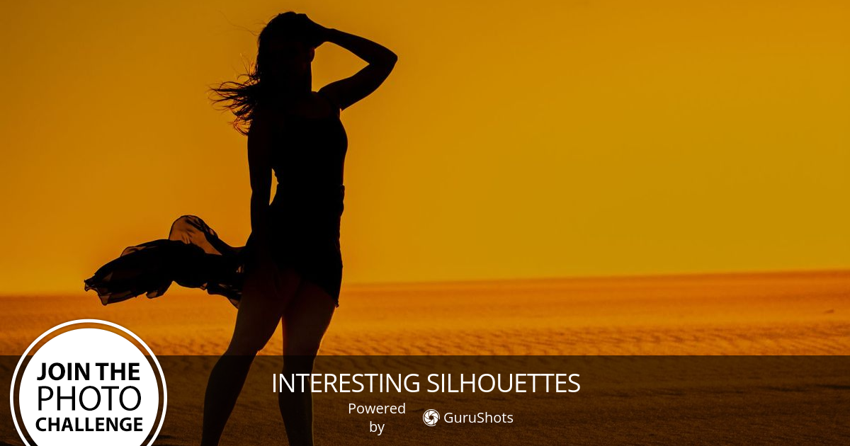 Interesting Silhouettes Photo Challenge