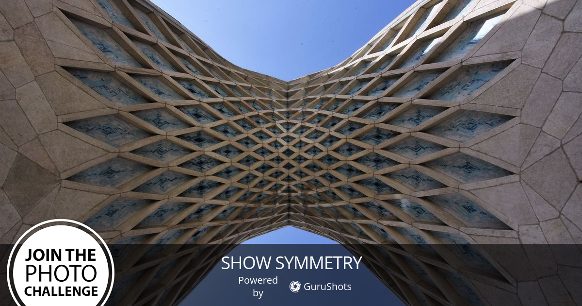 Show Symmetry Photo Challenge